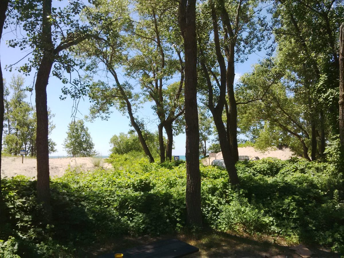 Any Sane Person Would Have Went And Lied Down Somewhere...Exercise and ...